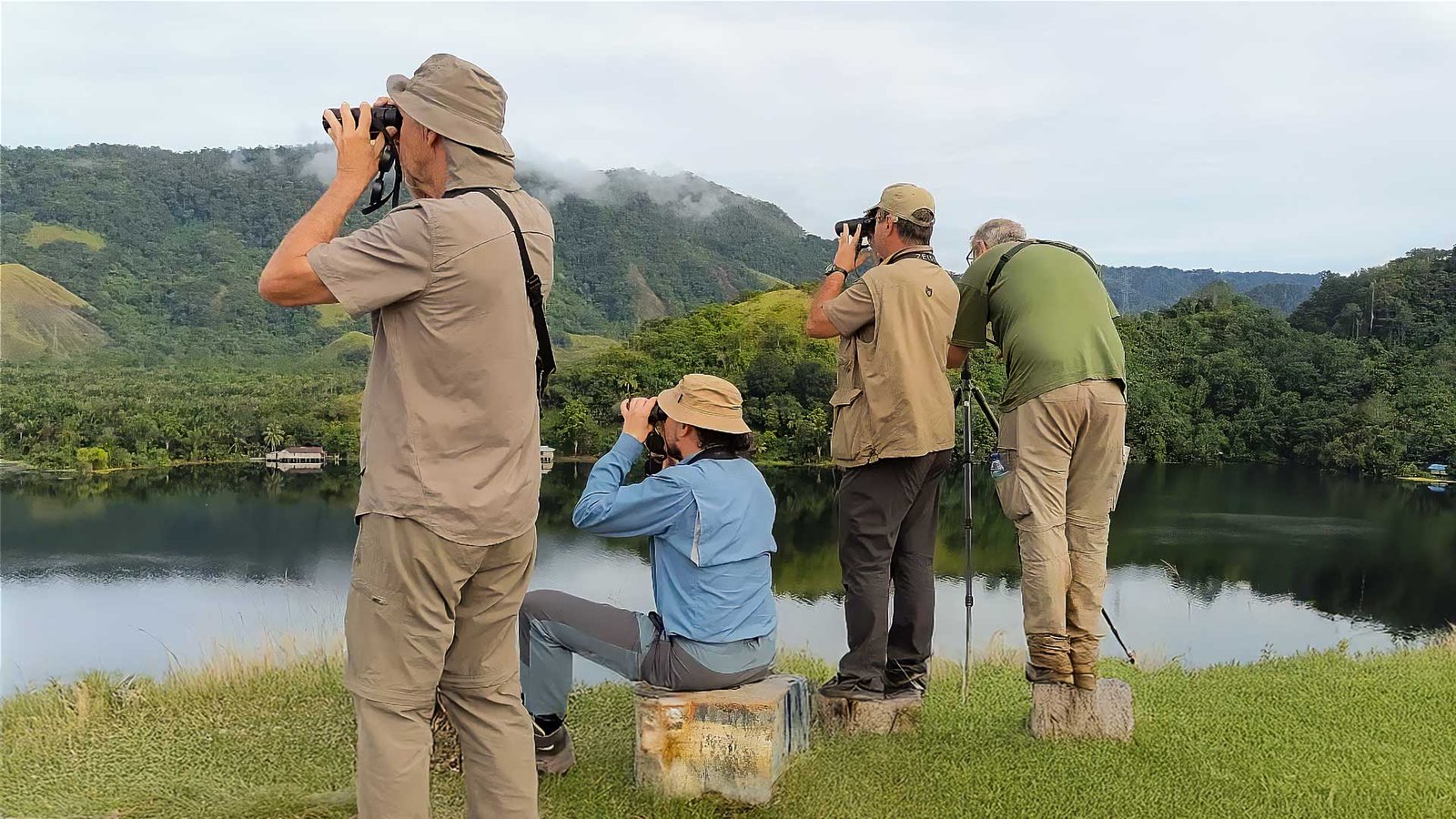 Birding Trips - Halmahera Birding